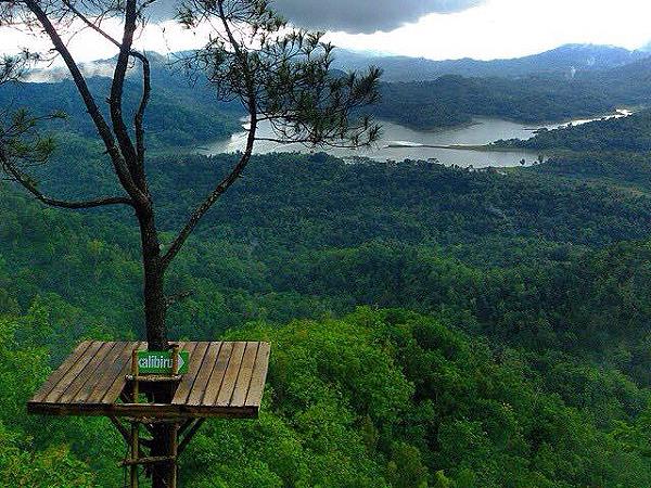 The Beauty of Kalibiru – SEA